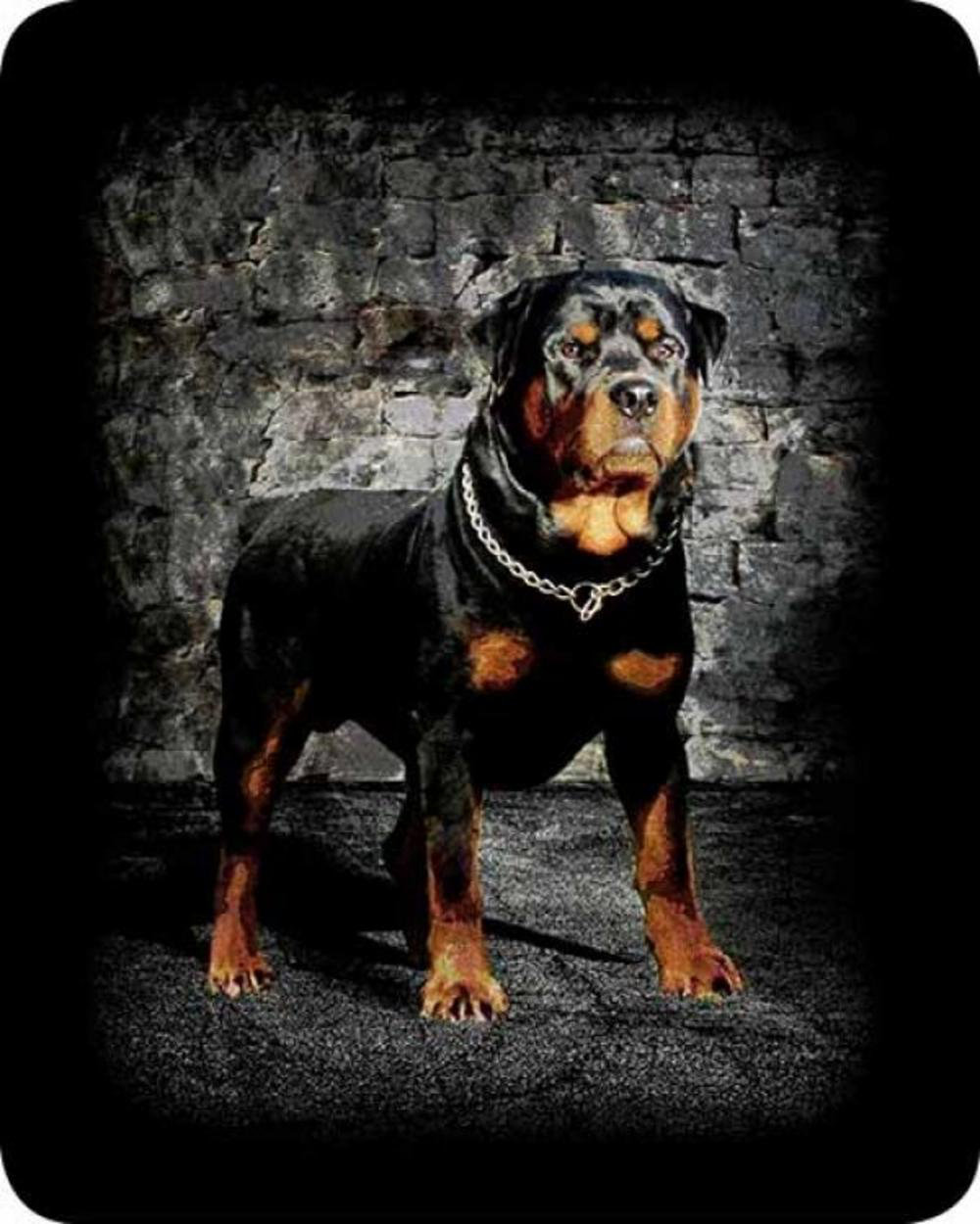 Winston Porter Hale Ultra Plush Rottweiler Faux Fur Blanket | Wayfair