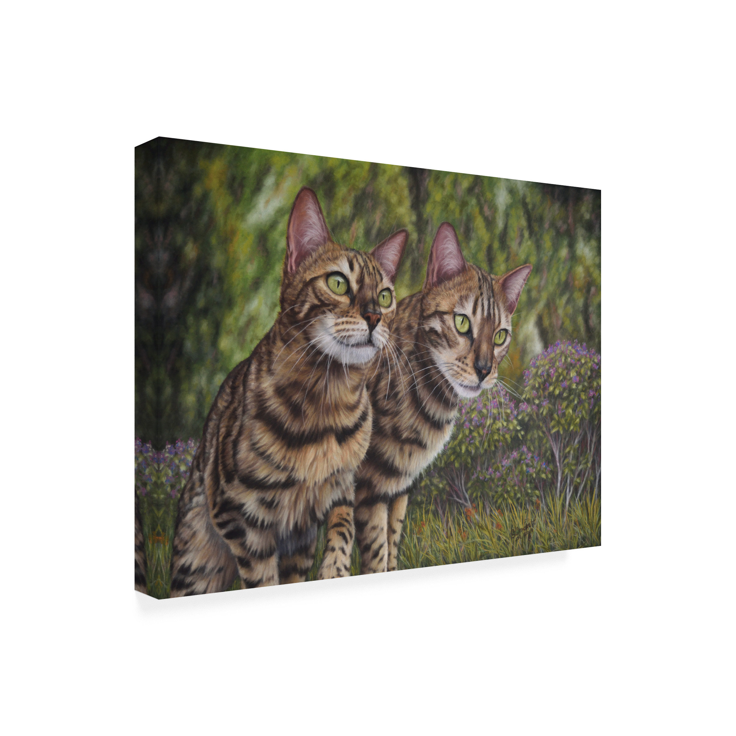 Winston Porter Pet Portrait Of Albus And Boo The Bengal Cats On Canvas ...