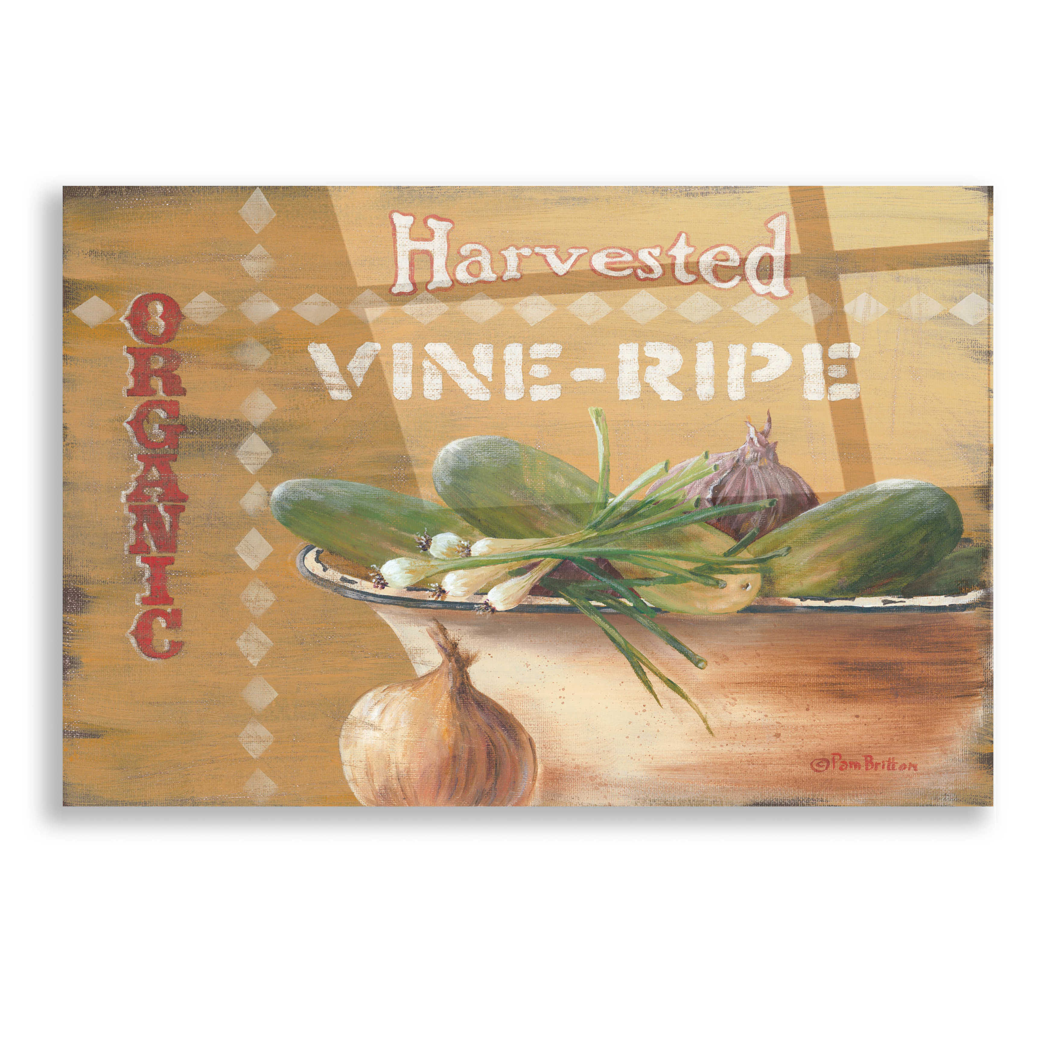 Trinx Vine Ripe by Pam Britton - Unframed Advertisements | Wayfair