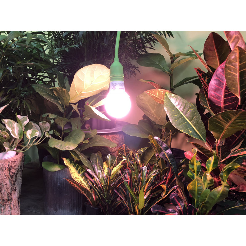 Miracle LED Absolute Daylight+ Grow Light | Wayfair