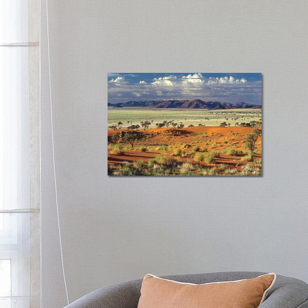 Gracie Oaks Tok Tokkie Desert by Marc Pelissier - Wrapped Canvas ...