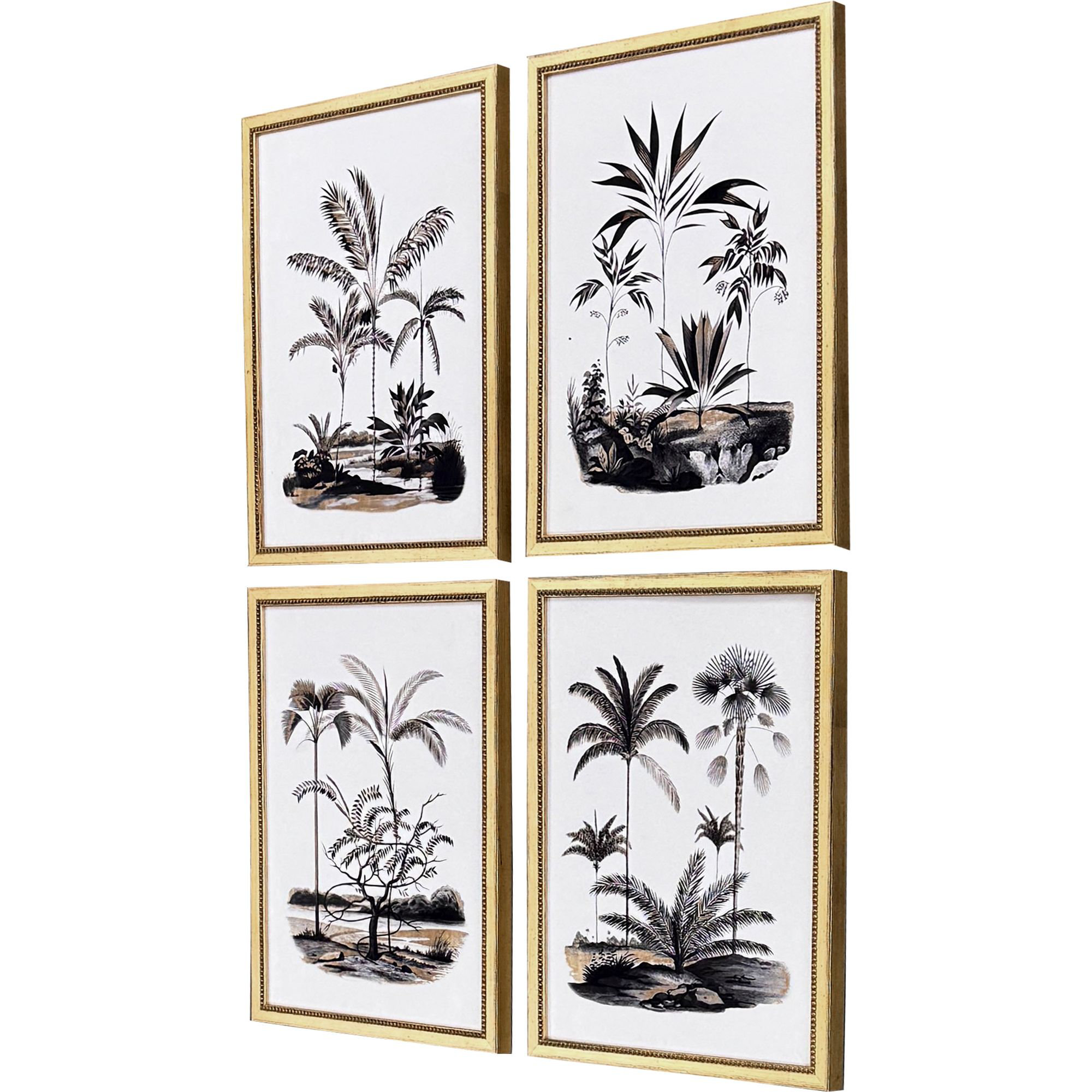 Paragon Exotic Terrain S/4 | Perigold