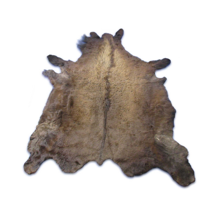 Cowhides USA Real Bison Skin Rug - Wayfair Canada