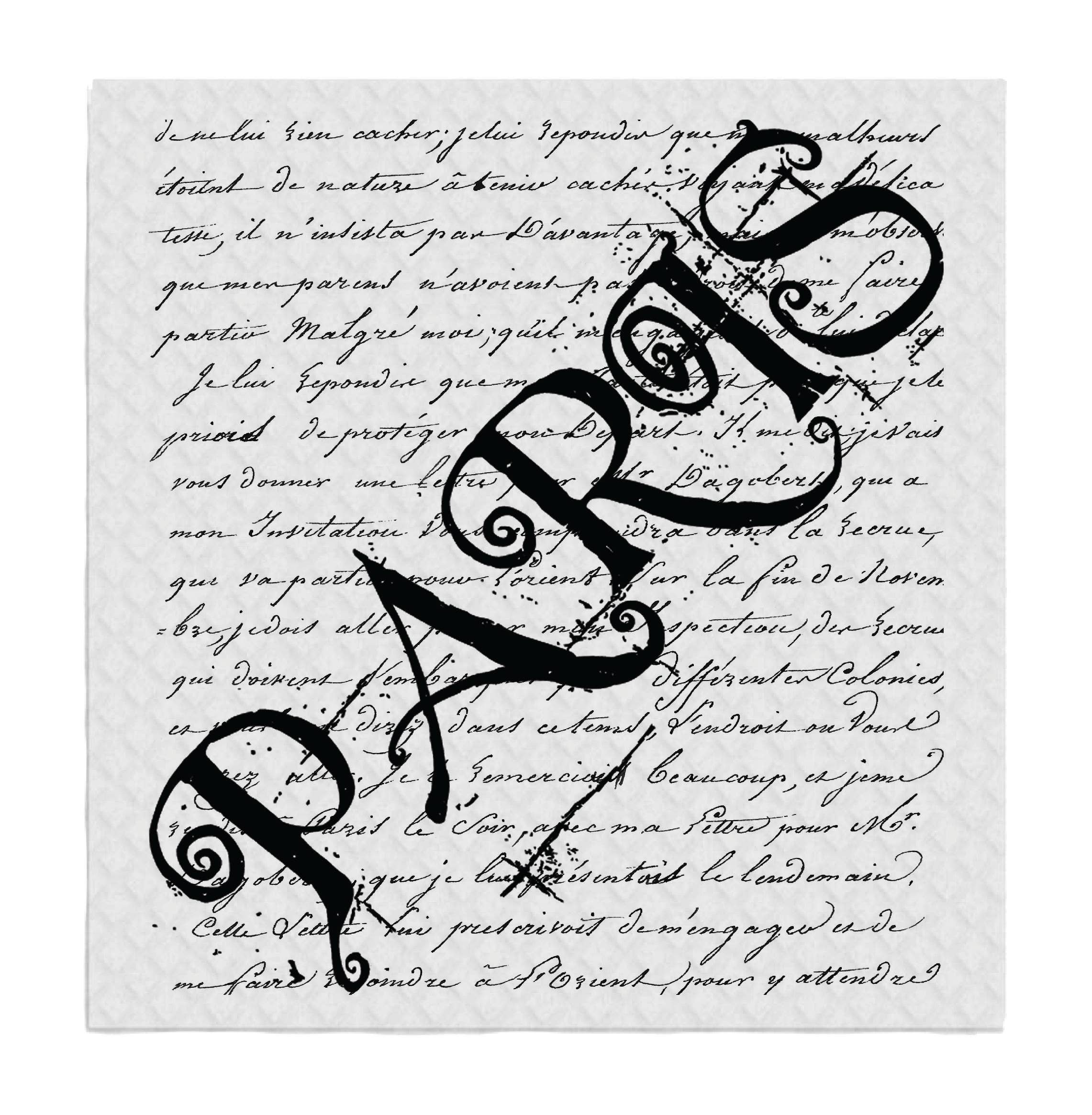 Ophelia & Co. Paris Fancy Cursive Words, SWEDISH DISH CLOTHS ( Set Of 2 ...