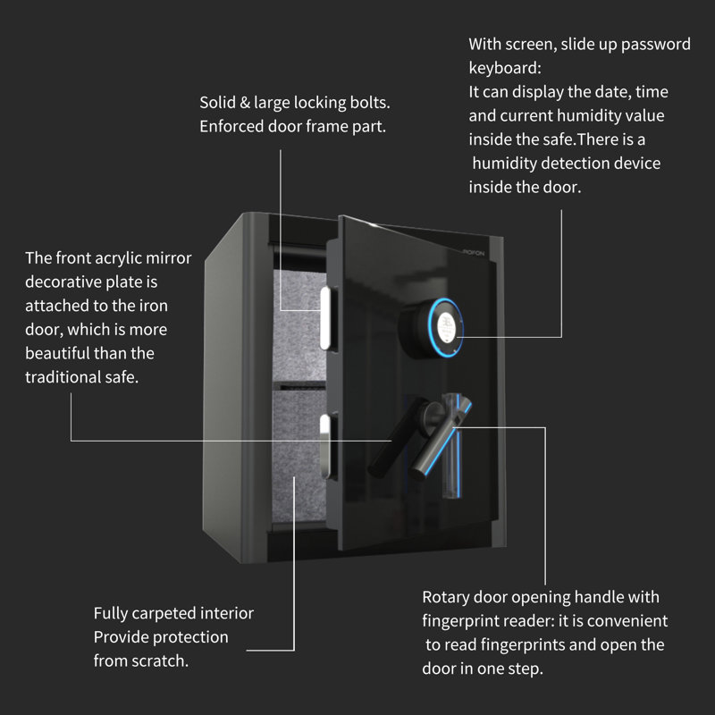 BOFON Security Box, Fingerprint Password Safe Box with Key,Built-in ...