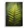Brambly Cottage Fern Leaf Romanticism - No Frame Art Prints | Wayfair.co.uk