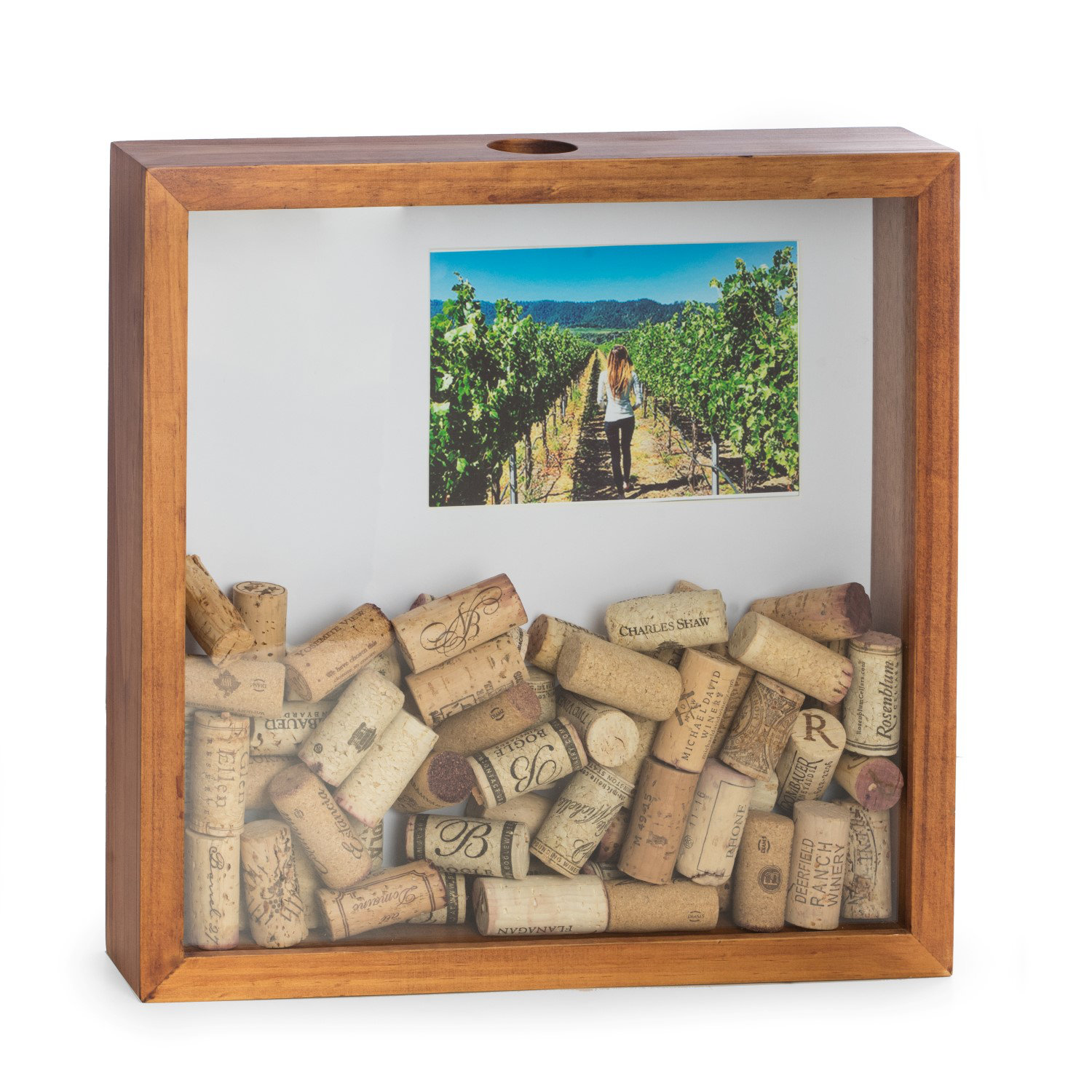 Winston Porter Arzola Glass Shadow Box Picture Frame | Wayfair