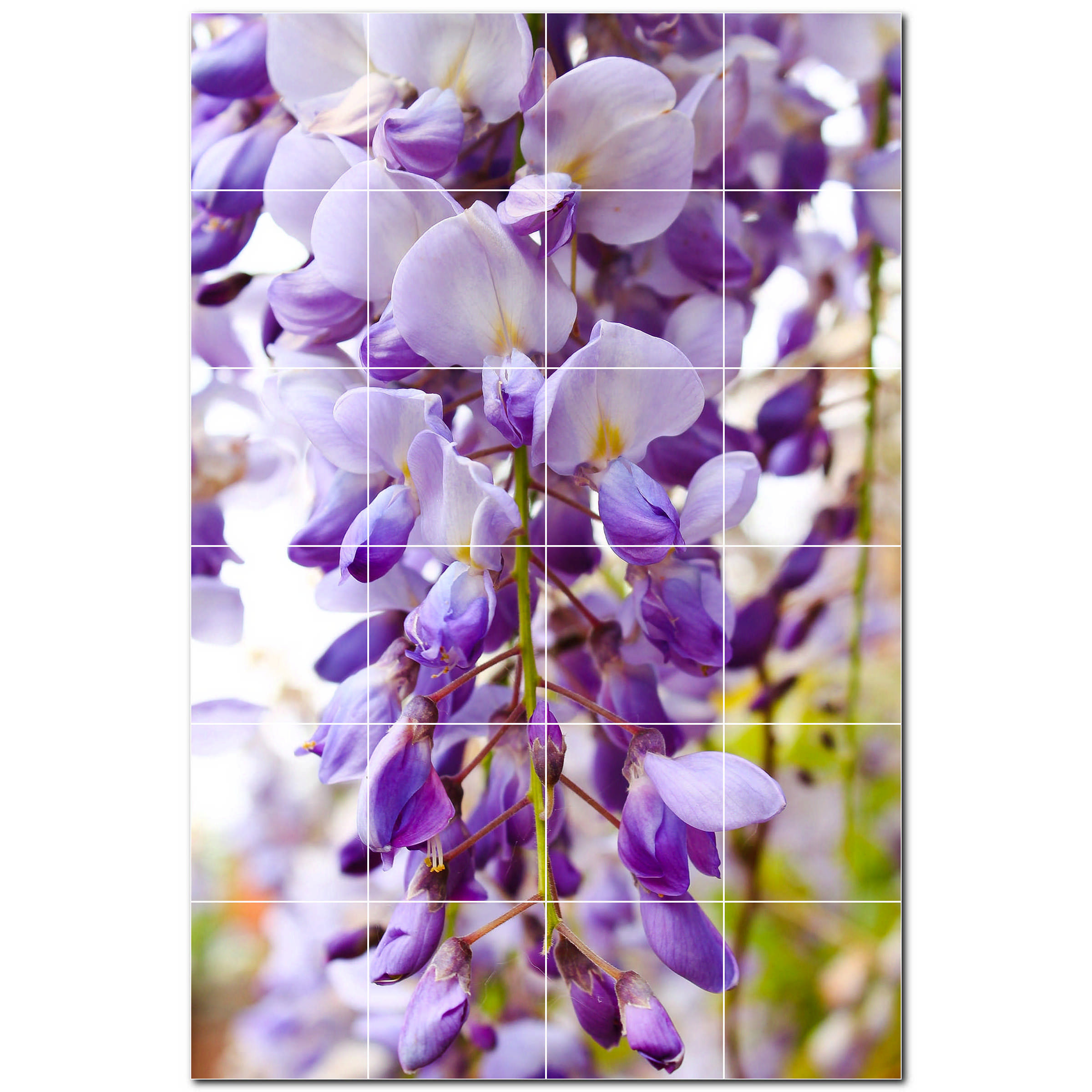 Picture-Tiles.com Flowers Photo 12'' x 12'' Satin Ceramic Decorative ...