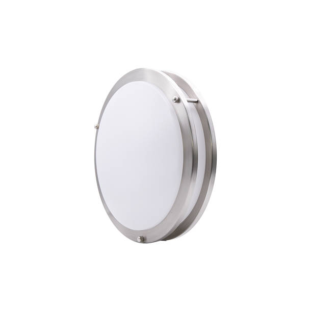 Ebern Designs Amari 1 - Light Single Pendant & Reviews | Wayfair