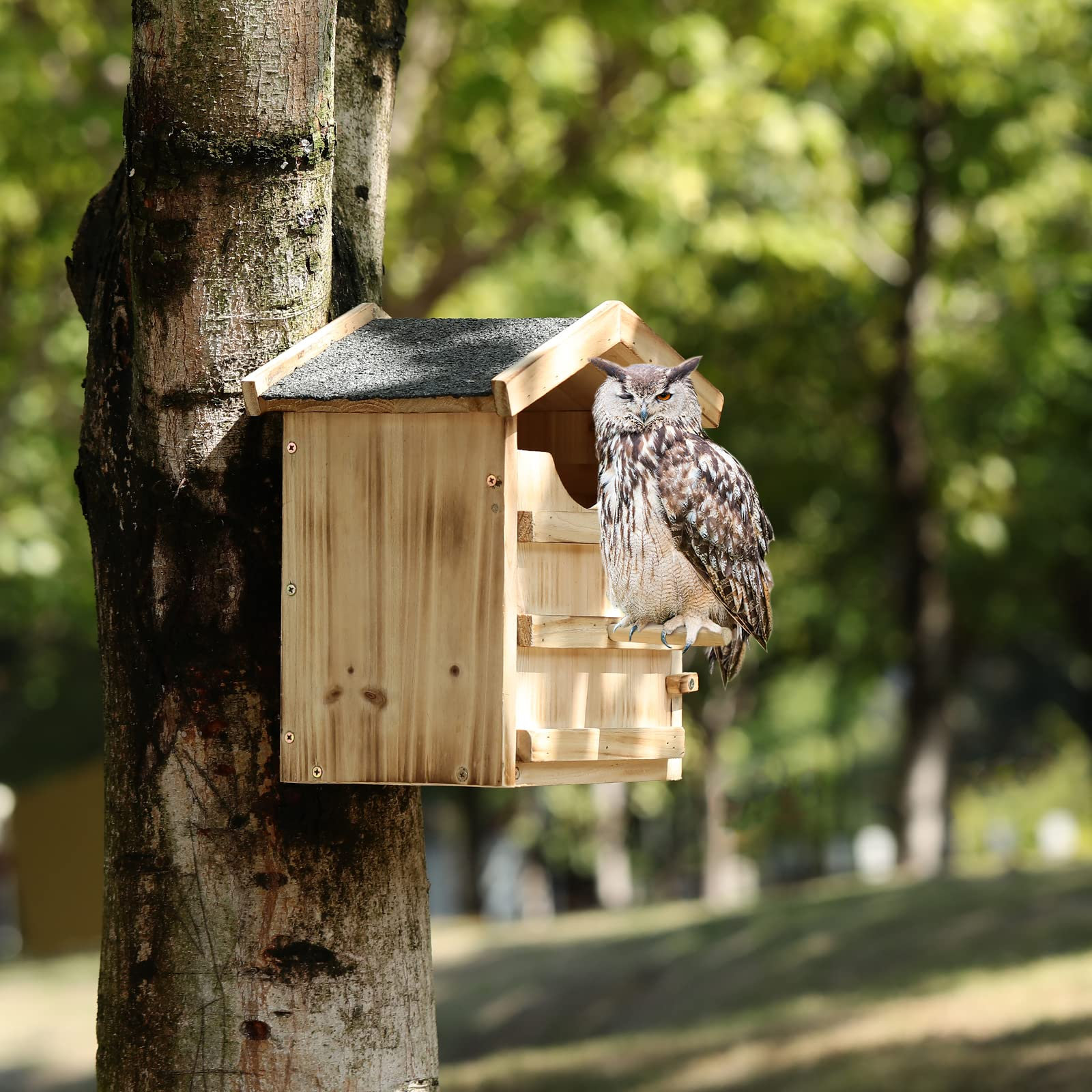 One Allium Way Owl House Prebuilt Owl Box For Outside Screech Owl House ...