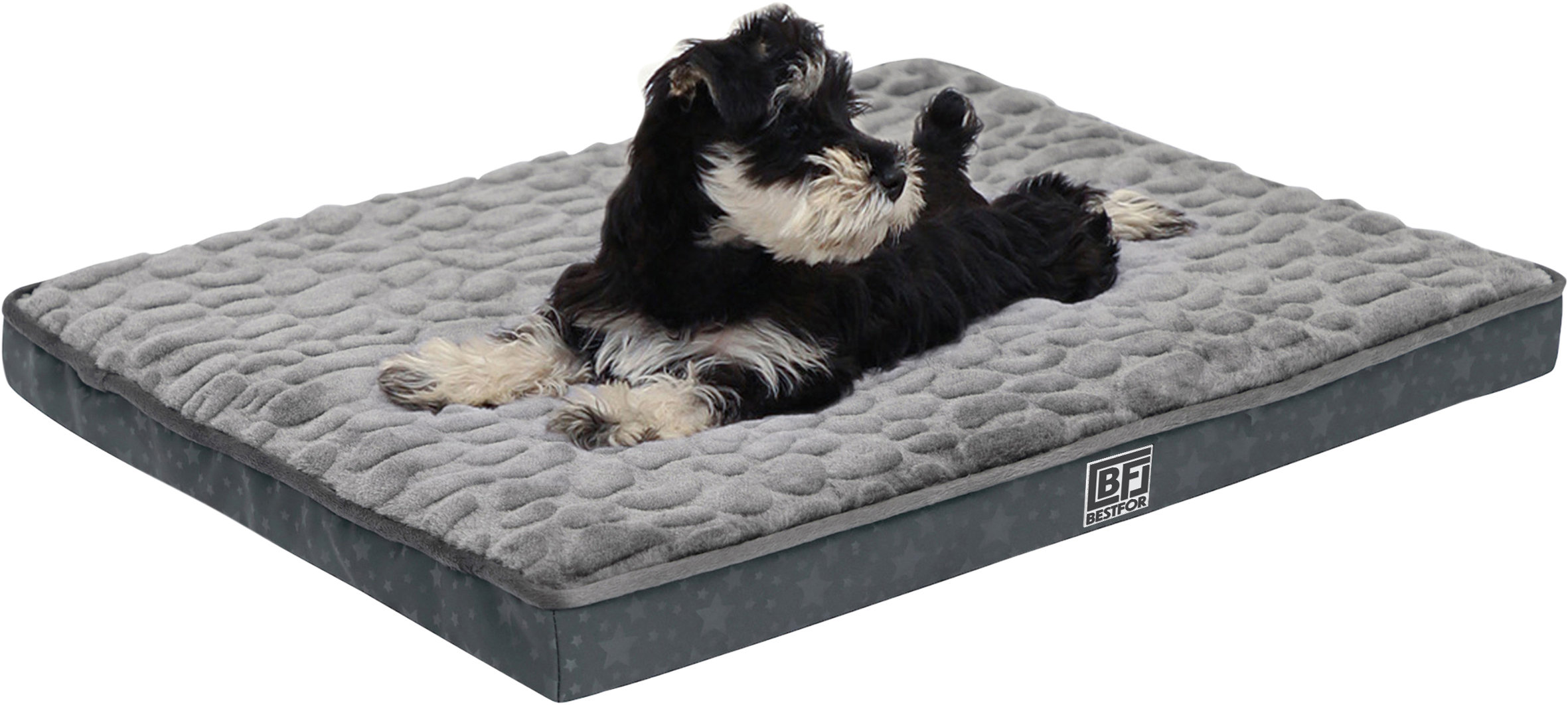 17 Stories Susete Orthopedic Pet Bed Egg Crate Bamboo Small | Wayfair.co.uk