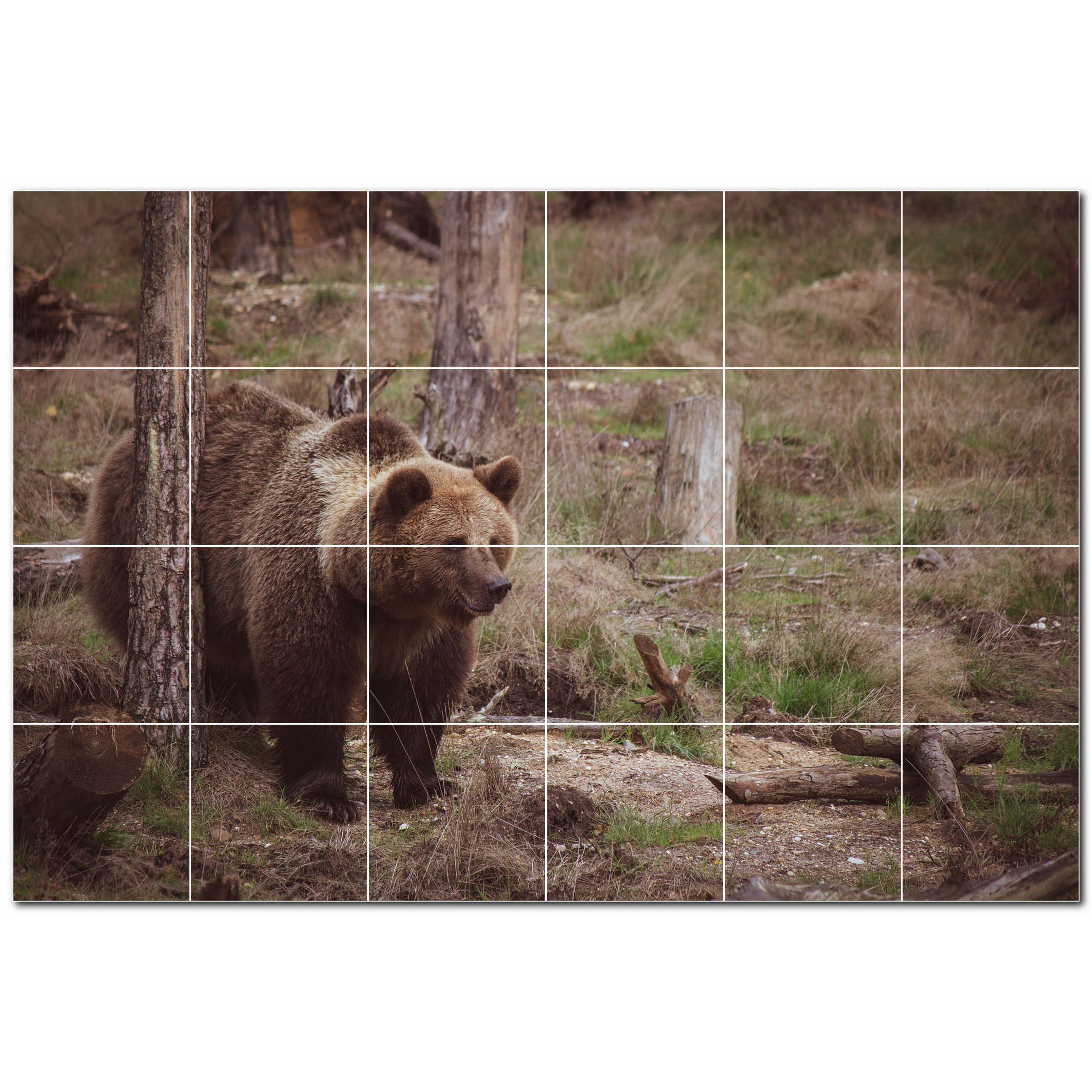 Picture-Tiles.com 48" x 32" Ceramic Bear Photo Decorative Mural Tile ...