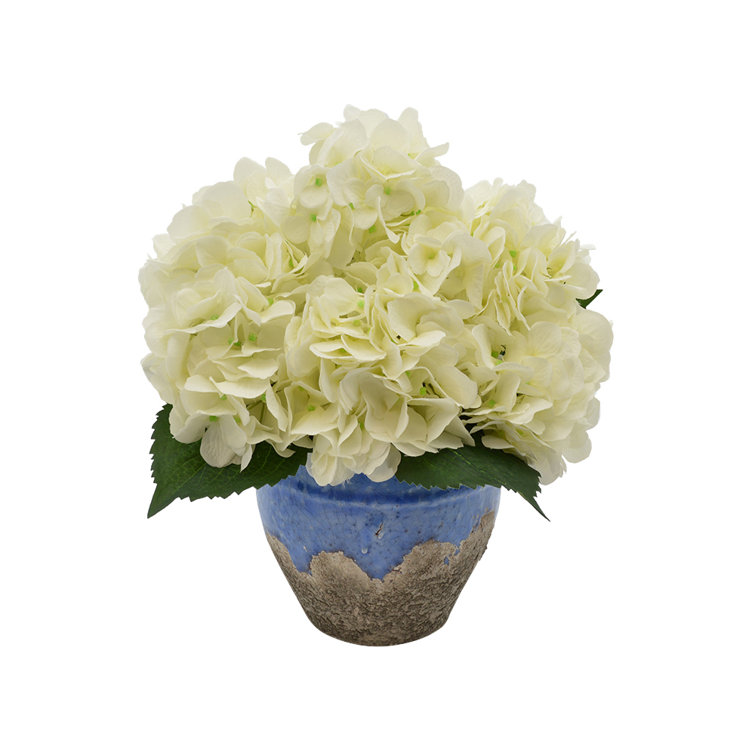 Creative Displays, Inc. Hydrangea Arrangement In Ceramic Vase | Perigold