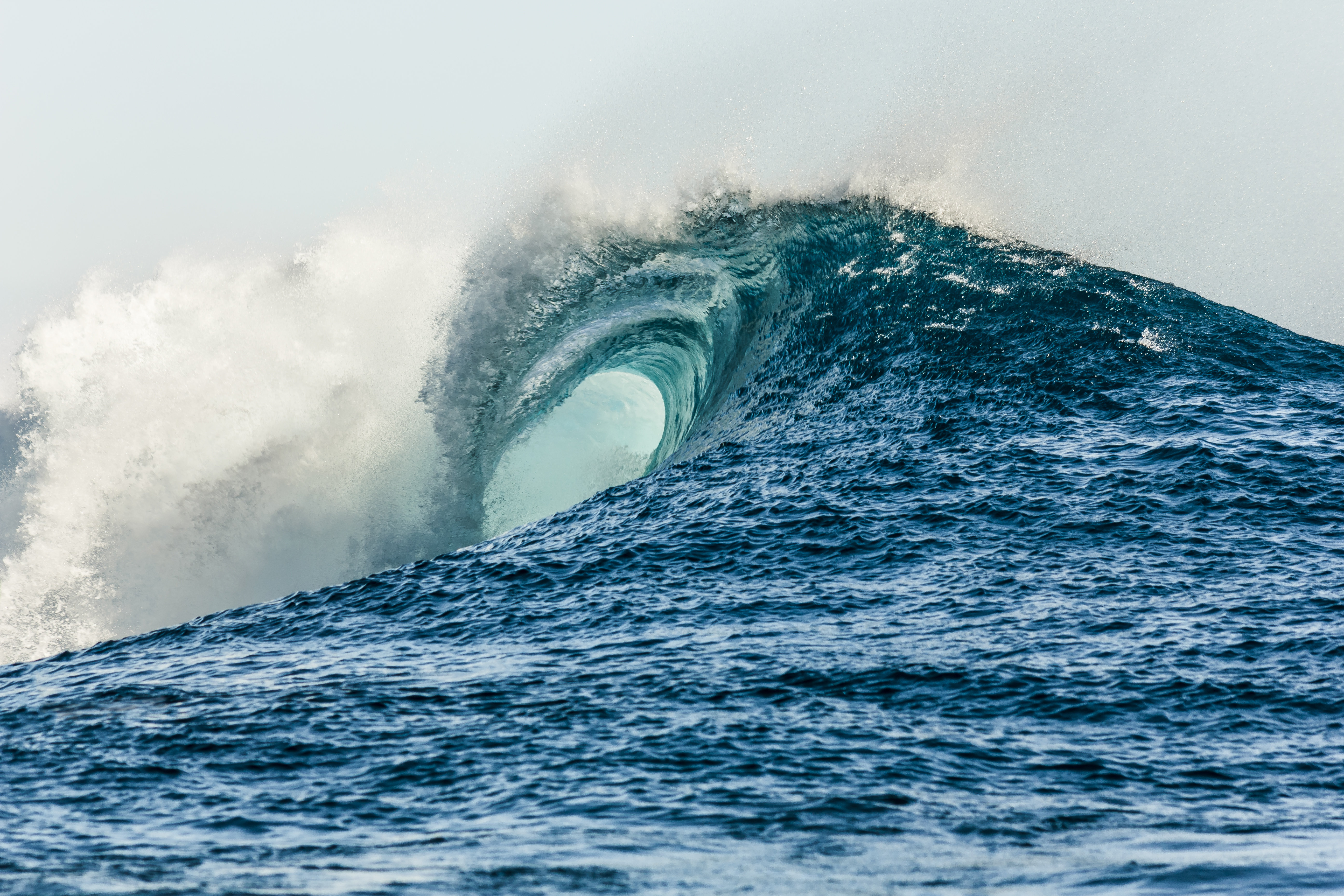 Highland Dunes Huge Tube Wave by Mafelipe | Wayfair