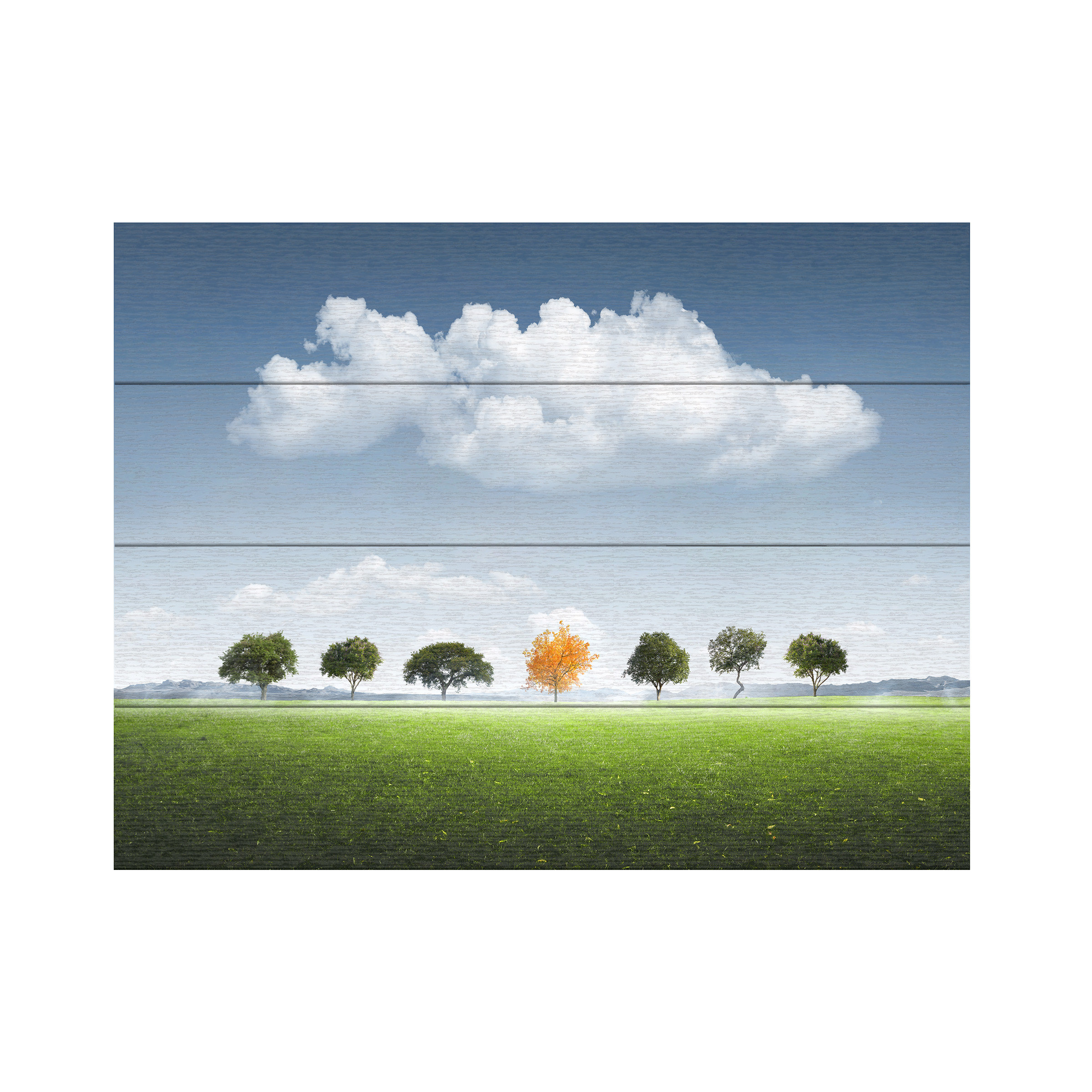 Ebern Designs Seven Tree On Wood Print | Wayfair