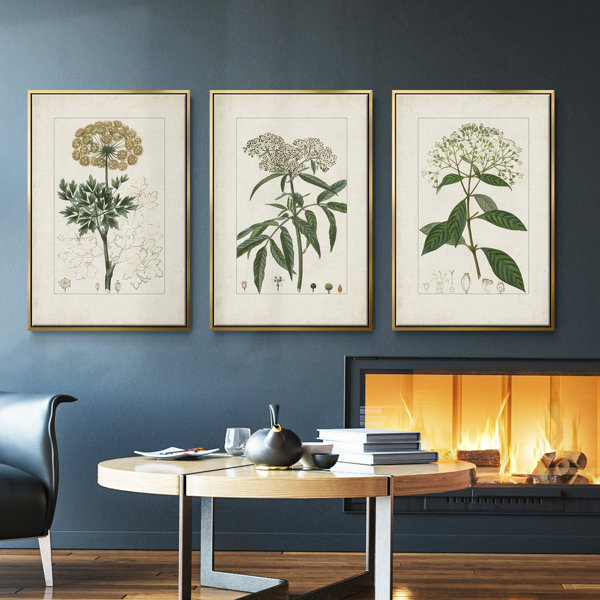 WexfordHome " Antique Turpin Botanical IV " 3 - Pieces - Wayfair Canada