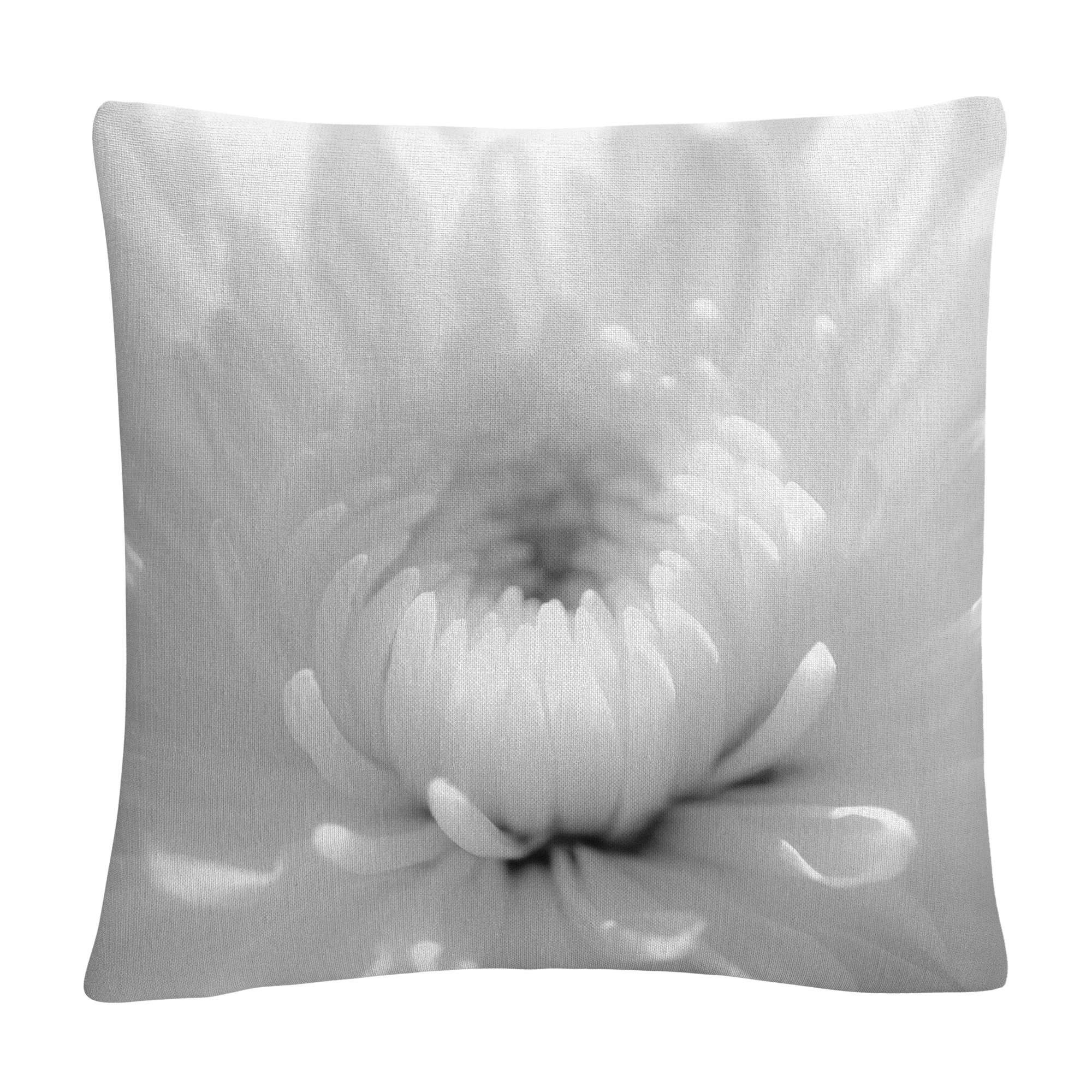 Trademark Fine Art PIPA Fine Art ''Infrared Flower 2'' 16 X 16 ...