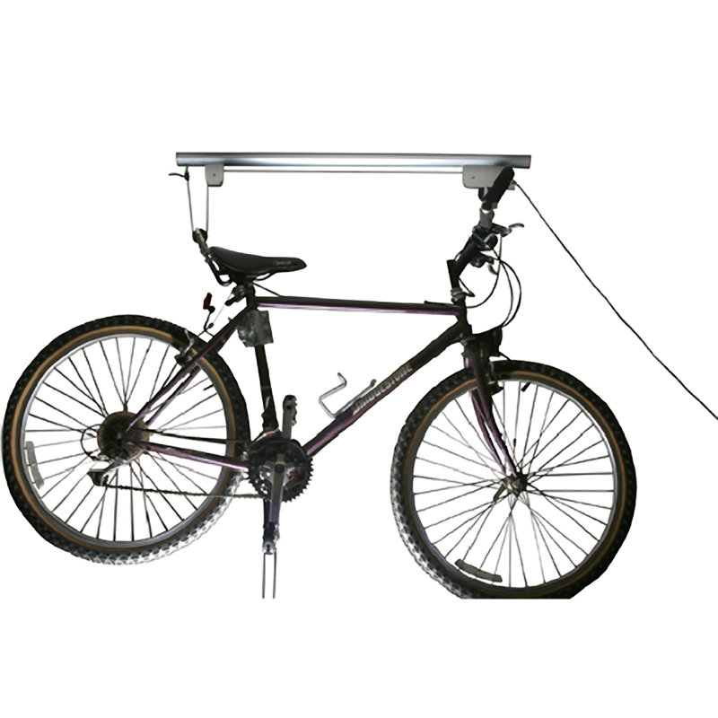 WFX Utility™ Ceiling Mounted Adjustable Bike Rack & Reviews | Wayfair
