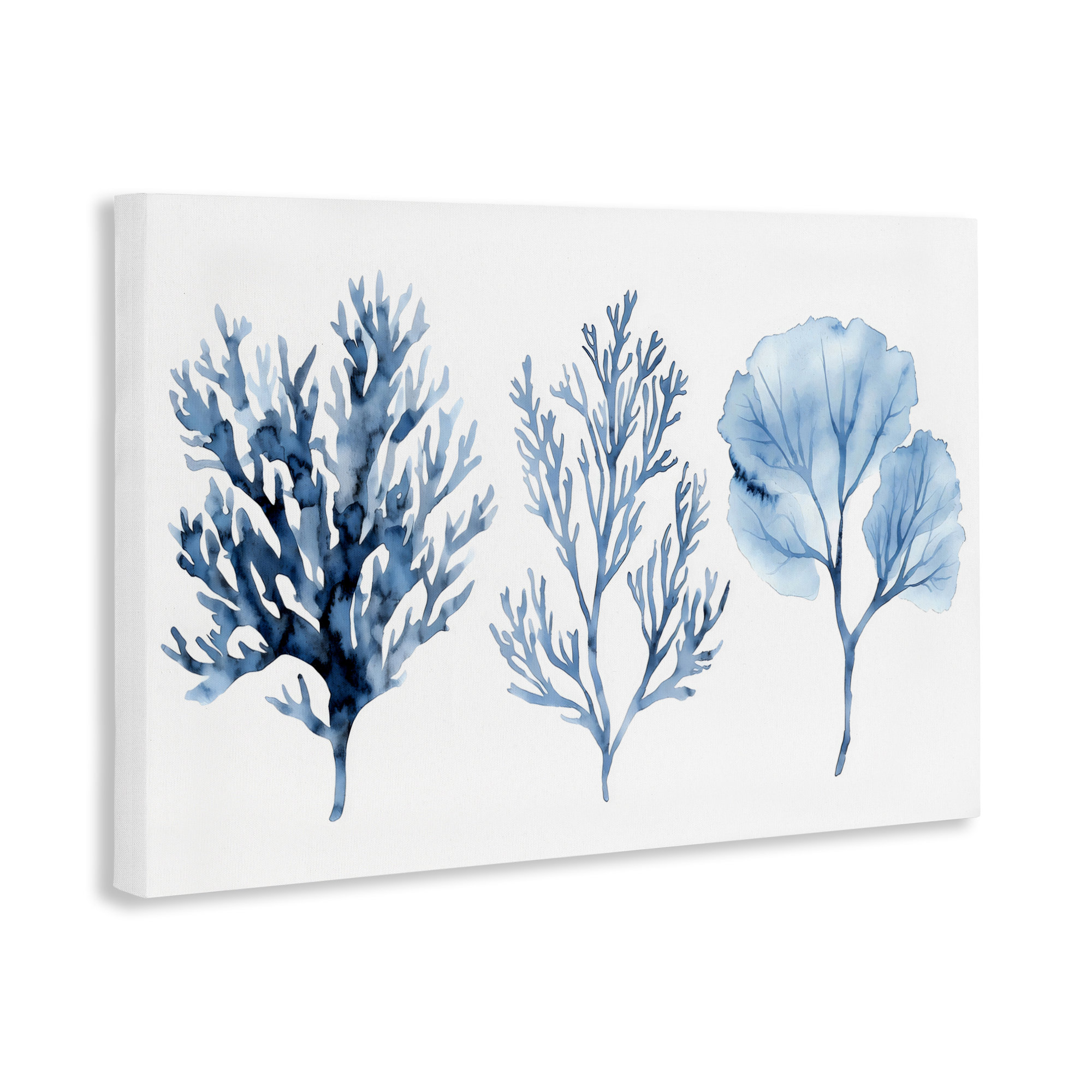 Rosecliff Heights Blue Coral Types Trio Canvas, design by LSR Design ...