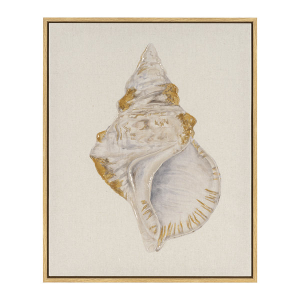 Dovecove Magic Shells I Framed Embellished Canvas by Art Brand Studios ...