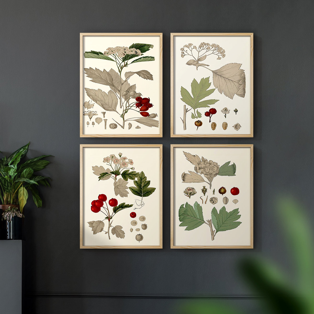 Winston Porter " River Rocks Contour I " 4 - Pieces | Wayfair