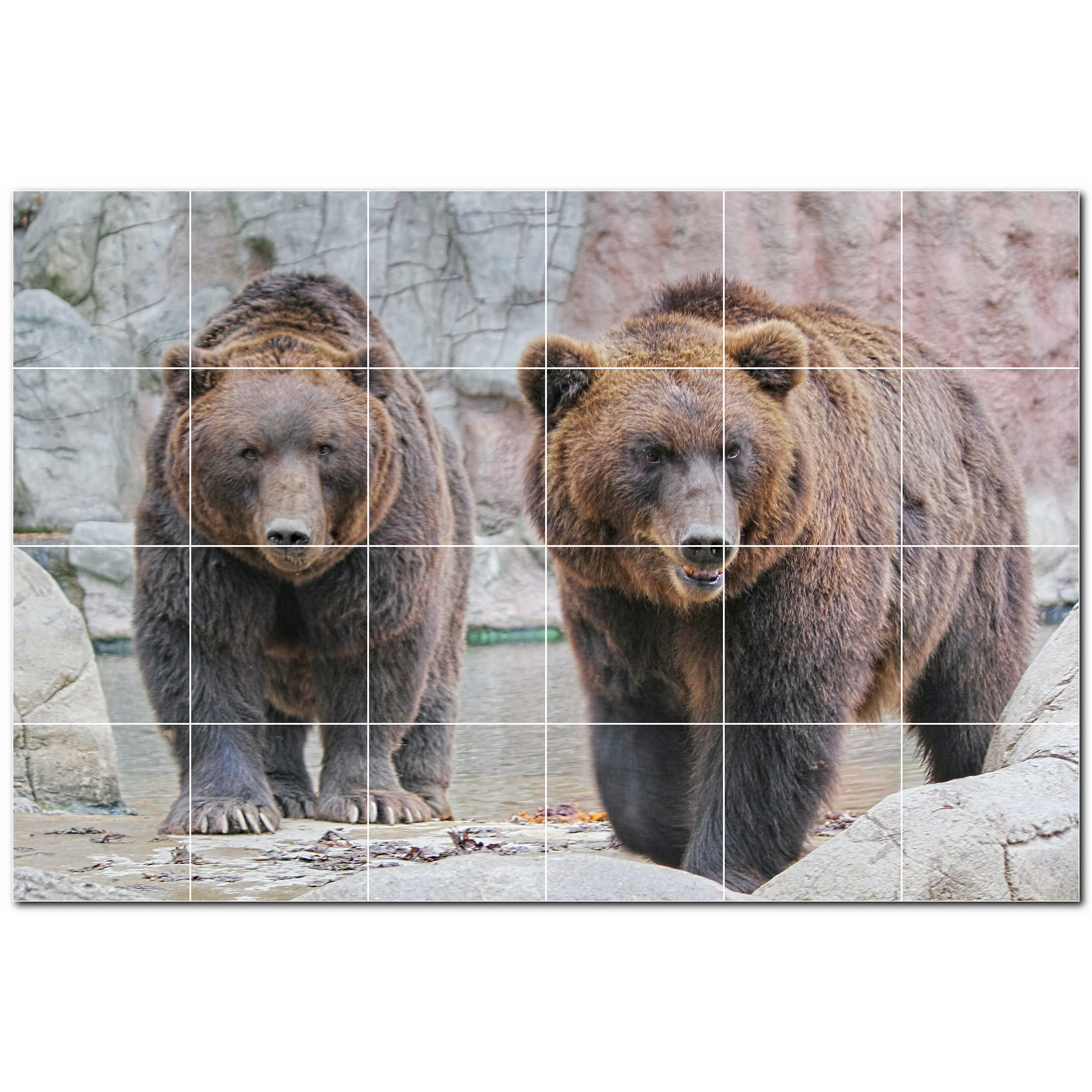 Picture-Tiles.com Bear Photo 12'' x 12'' Satin Ceramic Decorative Mural ...