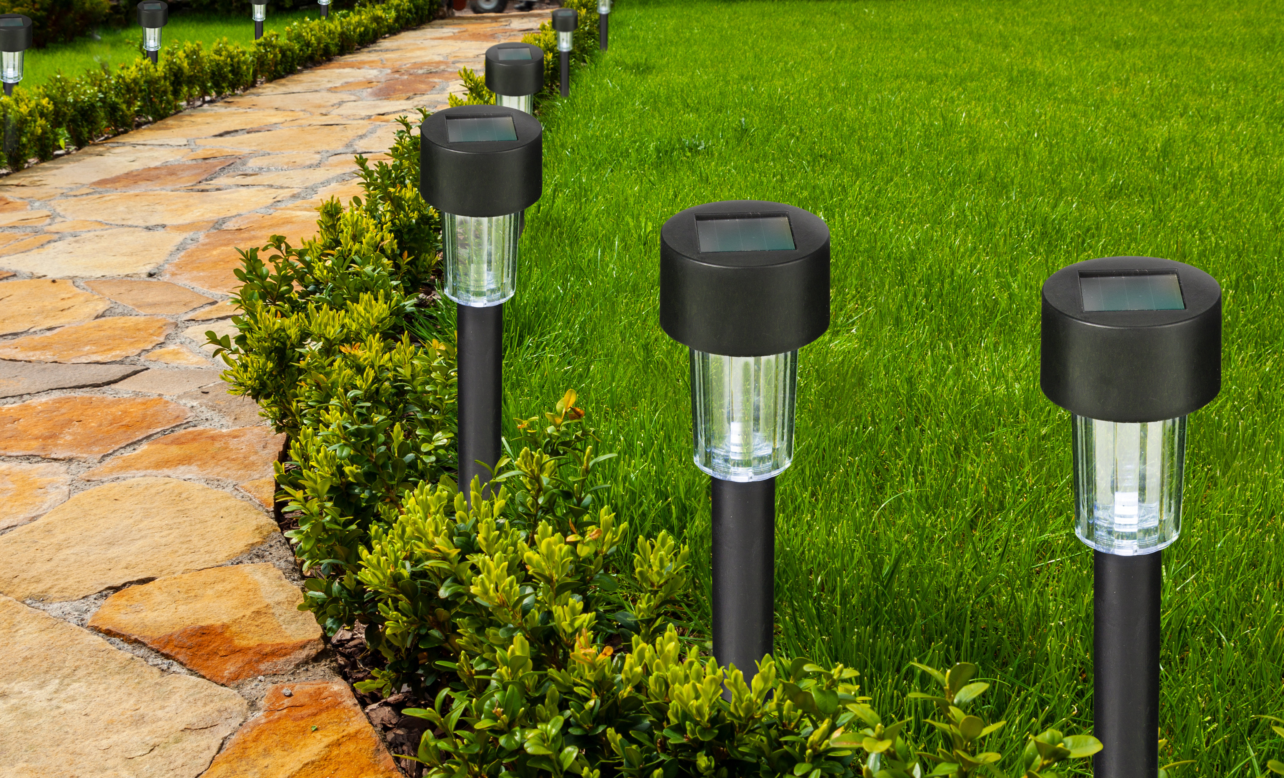 Eternal 10pk Solar Garden Light - Wayfair Canada