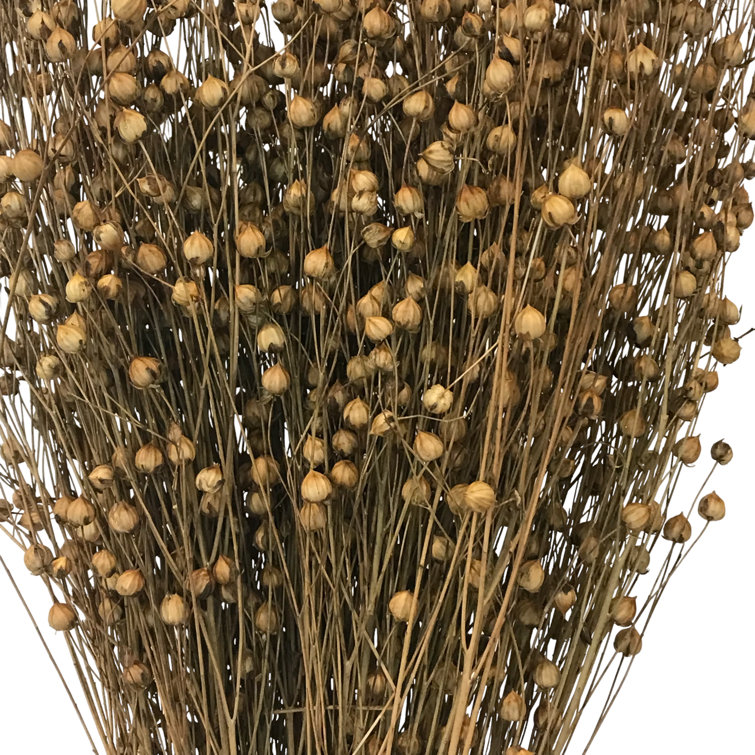 Primrue Fresno Lino Grass Stems, Bushes, And Sprays Arrangement ...