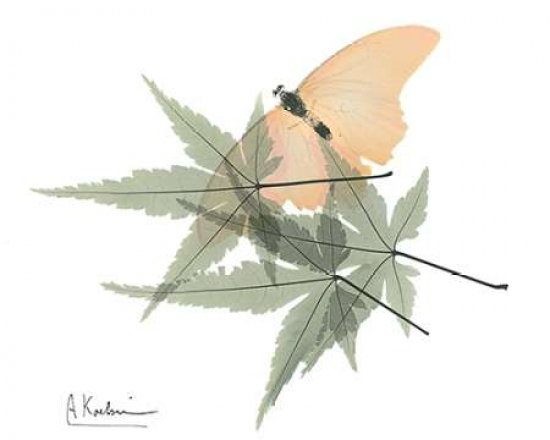 Rosalind Wheeler Gentle Explosion Of Spring Poster Print By Albert ...