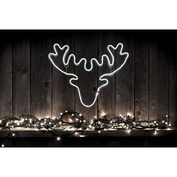 Latitude Run LED Indoor / Outdoor Rope Light | Wayfair.co.uk