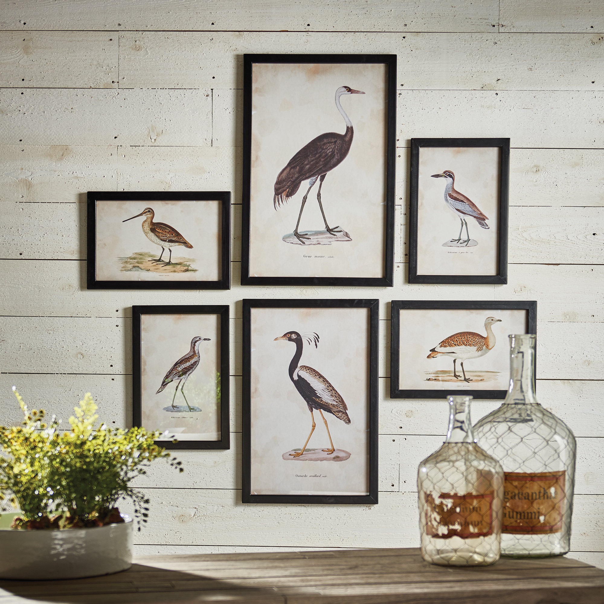 Lark Manor™ Waterfowl Gallery' 6 Piece Picture Frame Painting Set ...