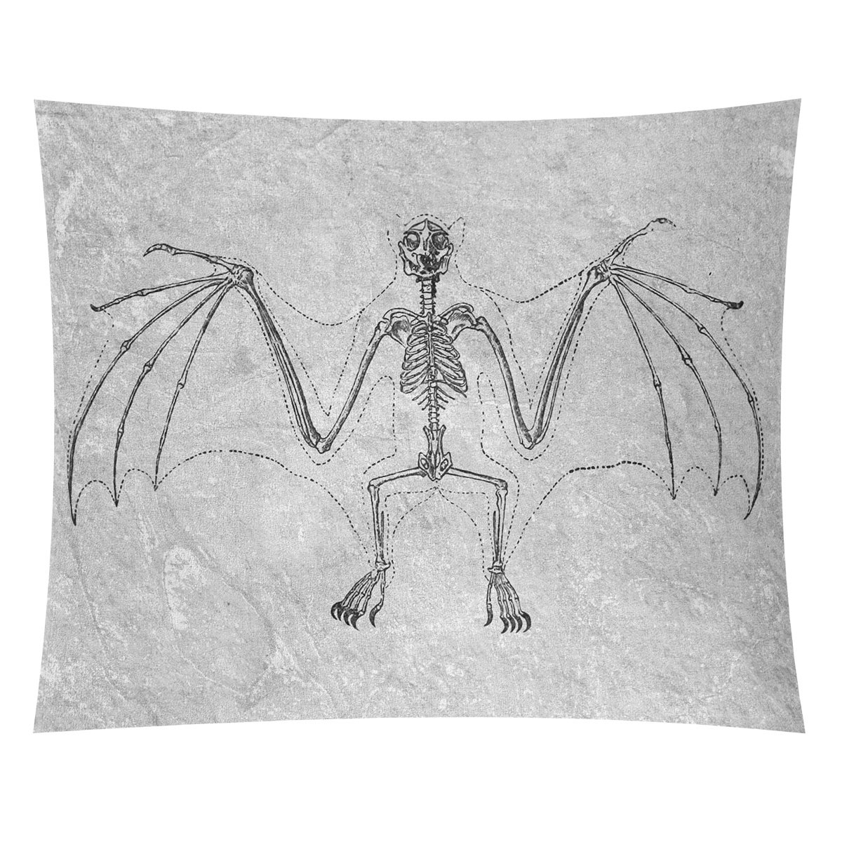 Bat Skeleton Drawing