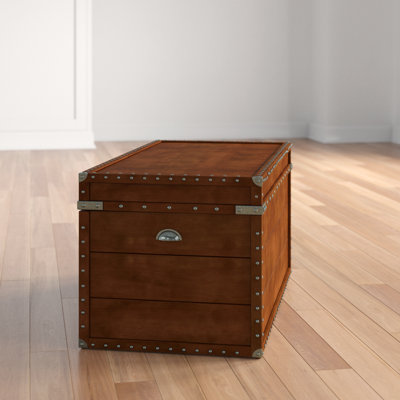 Breakwater Bay Oguz Solid + Manufactured Wood Vintage Trunk & Reviews ...