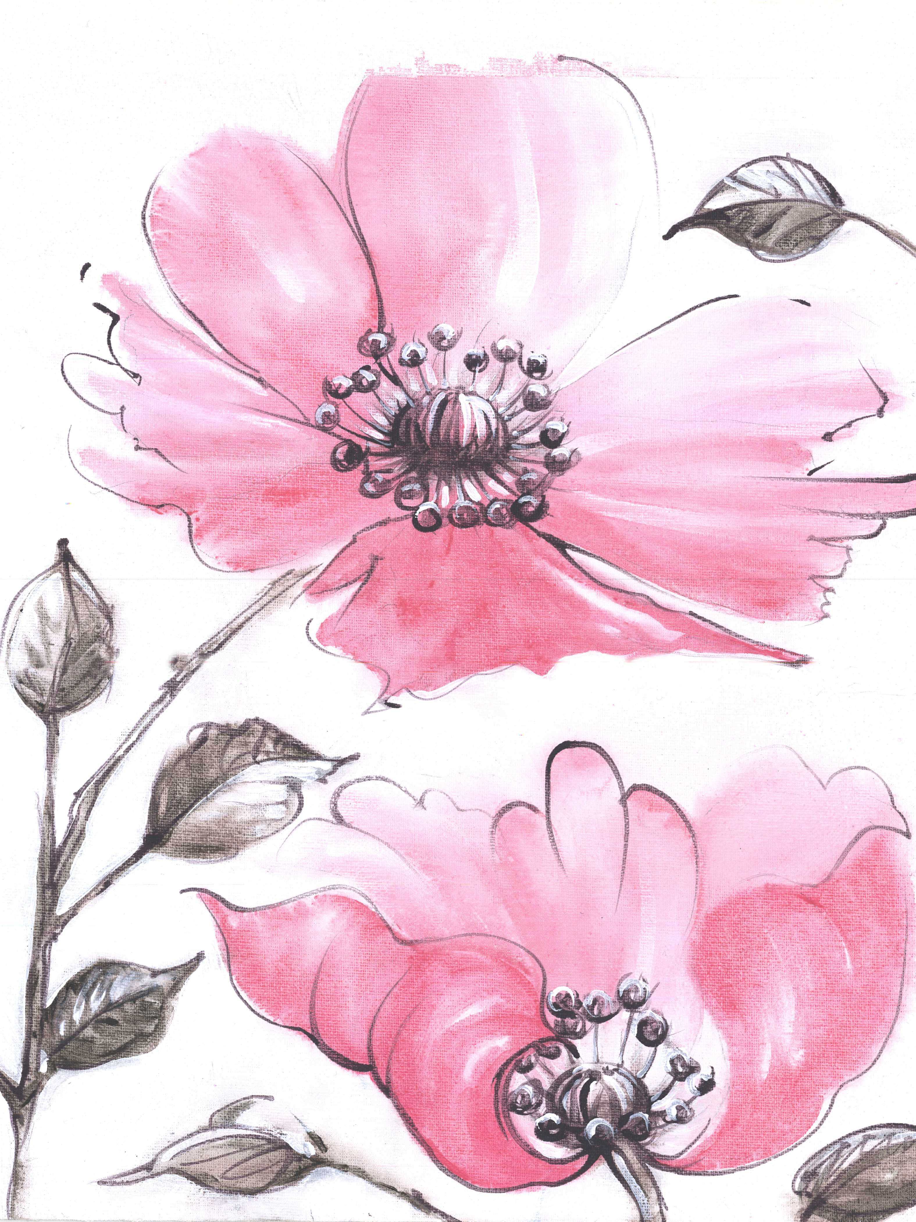 Wildon Home® Pink Wash Flowers - Wayfair Canada