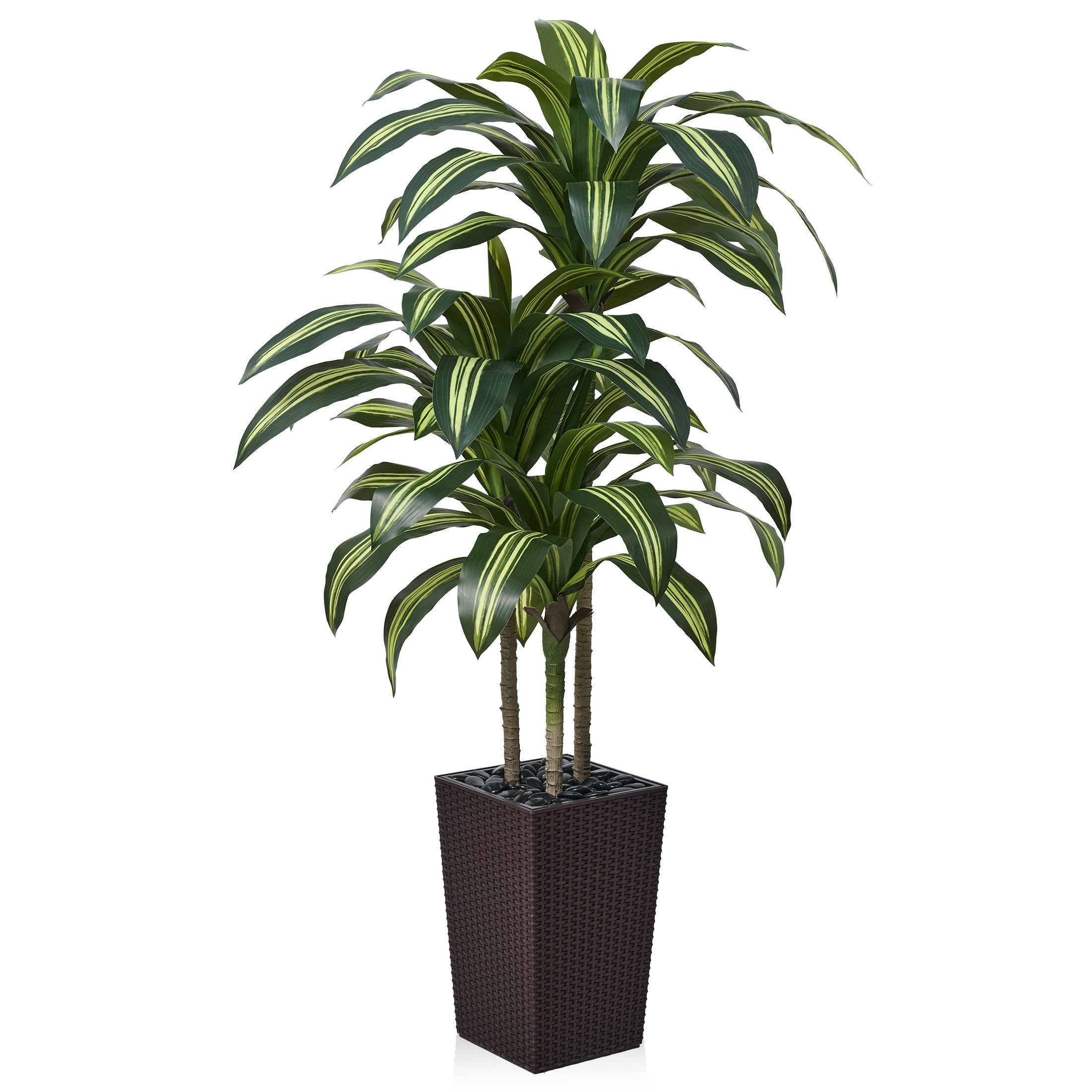 AllModern Almina UV Resistant Artificial Yellow Dracaena Tree, Faux ...