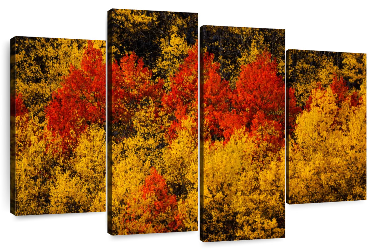Lark Manor™ Harnek Fall Colored Trees | Wayfair
