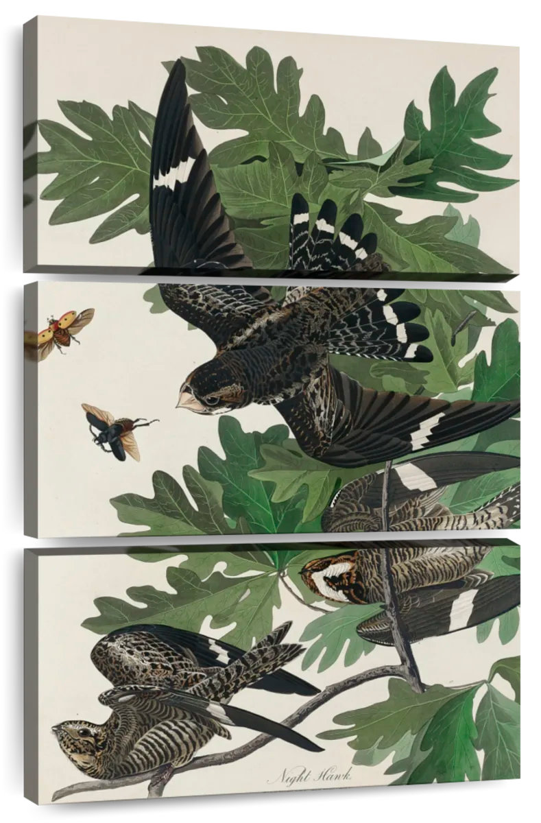 Elephant Stock Night Hawk | Wayfair