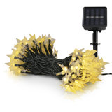 Novelty String Lights You'll Love | Wayfair