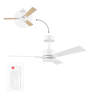 Globe Electric Company 42 in. Ceiling Fan with LED Light, Remote ...