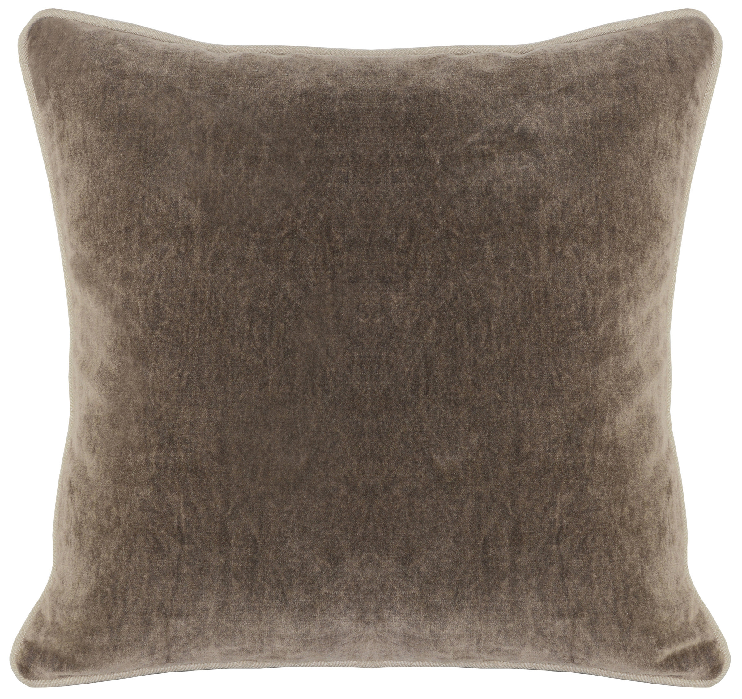Birch Lane™ Goodall Velvet Pillow Cover & Insert & Reviews | Wayfair