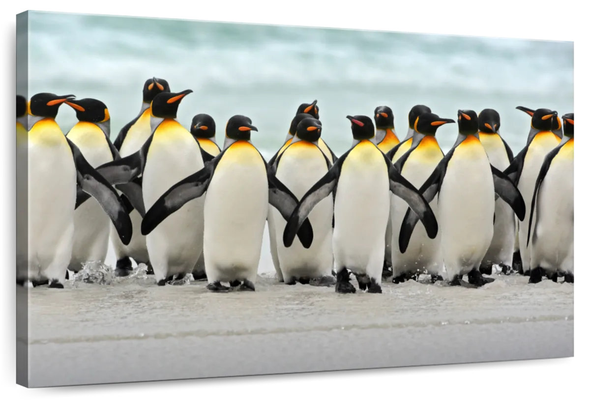 Ebern Designs Crowle Waddle Of Penguins - Wayfair Canada