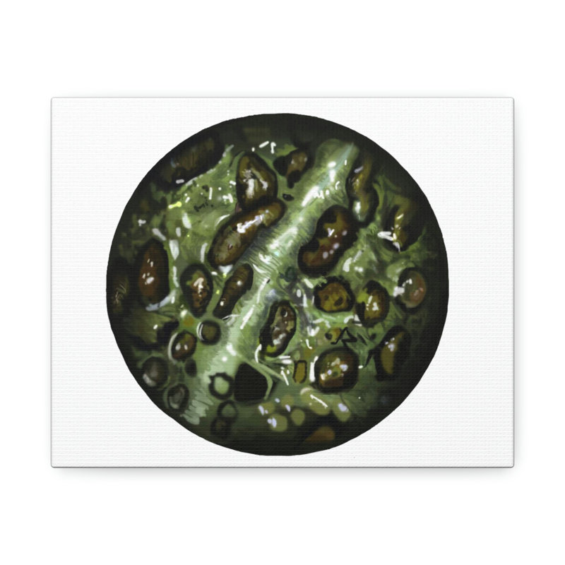 Latitude Run® Toad by Kelly Johnson - Wrapped Canvas Graphic Art | Wayfair