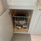 Rev-A-Shelf Steel Wire Pull Out Hamper for Vanity/Closet Applications ...