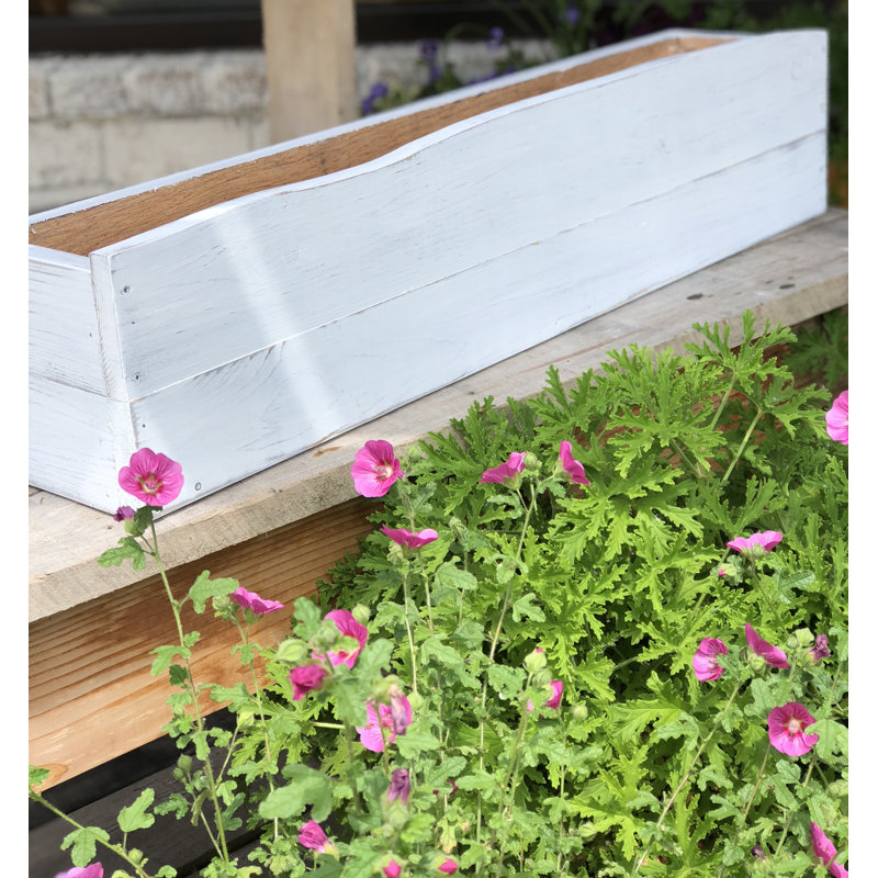 Highland Dunes Imogen Wood Planter Box | Wayfair
