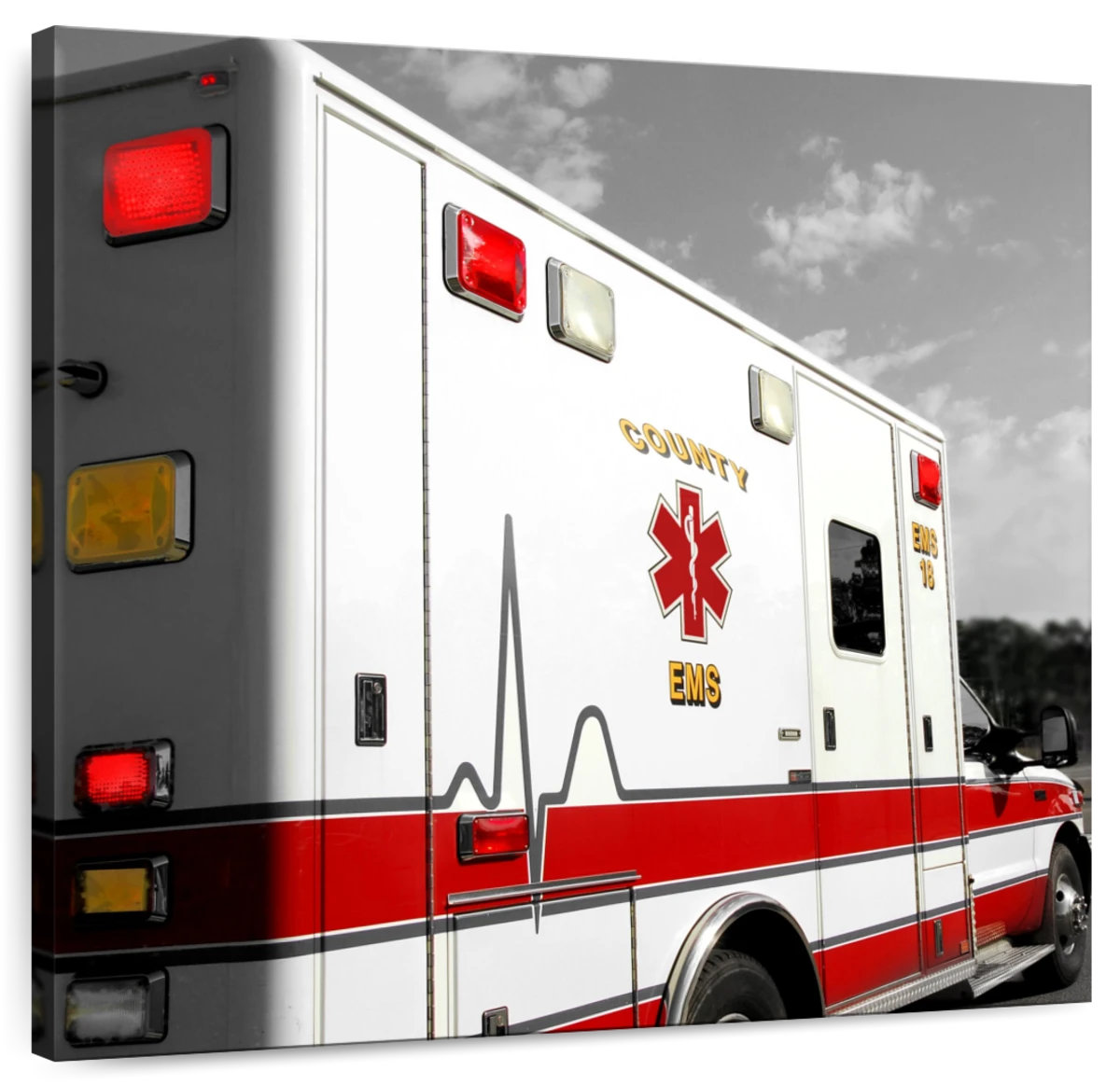 Ebern Designs Alcaraz EMS Ambulance | Wayfair