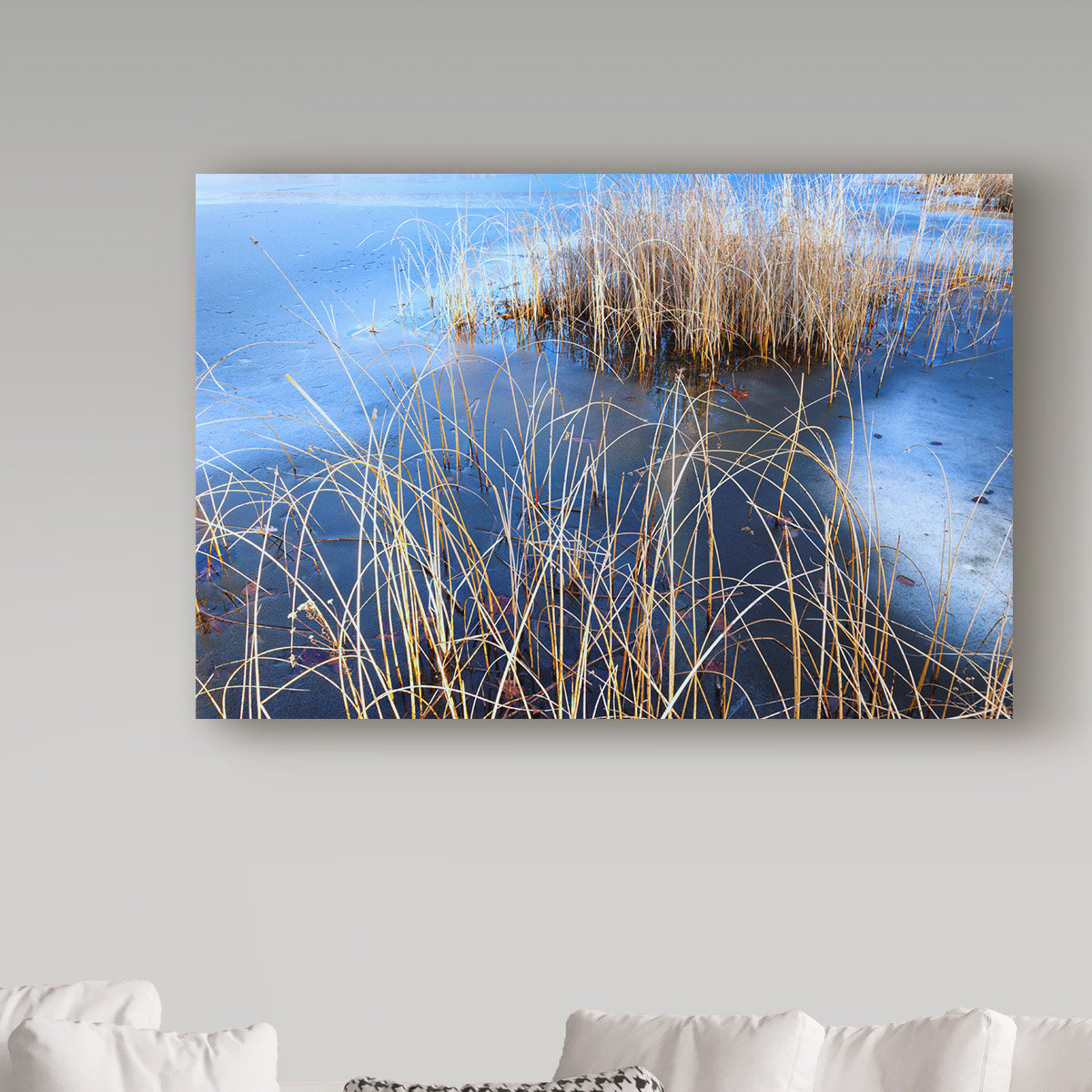 Trademark Fine Art Anthony Paladino Bull Rush and Reeds in Ice Mendon ...