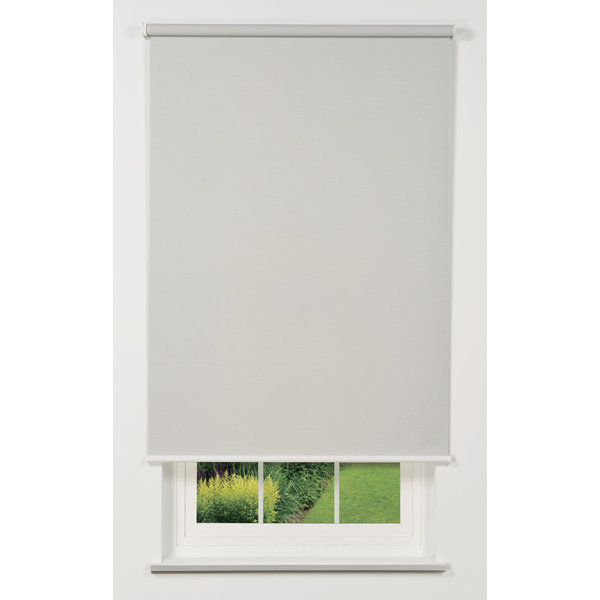 Semi-Sheer Roller Shade & Reviews | AllModern