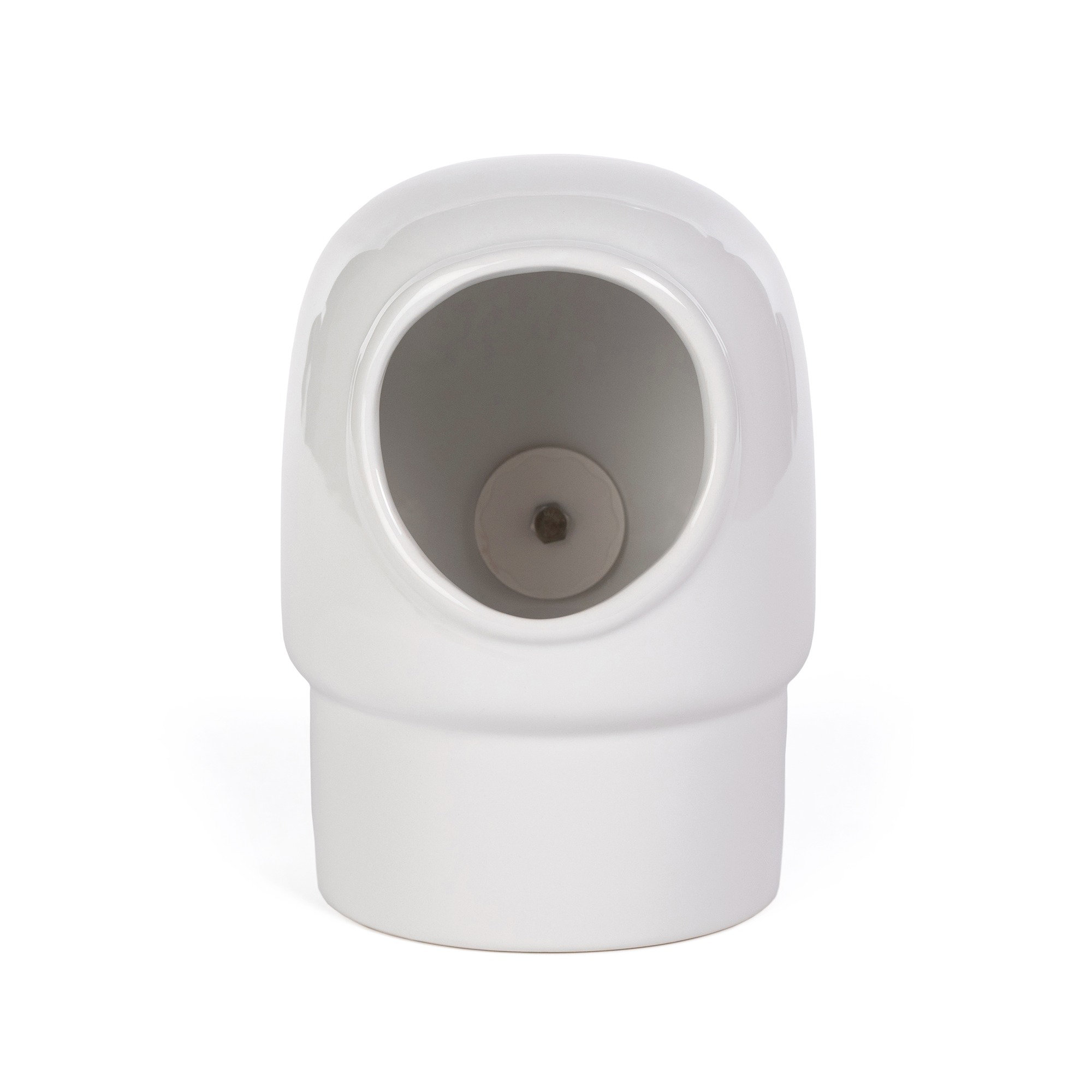 Ivy Bronx 24 oz. Hooded Crock for Bird Cage | Wayfair