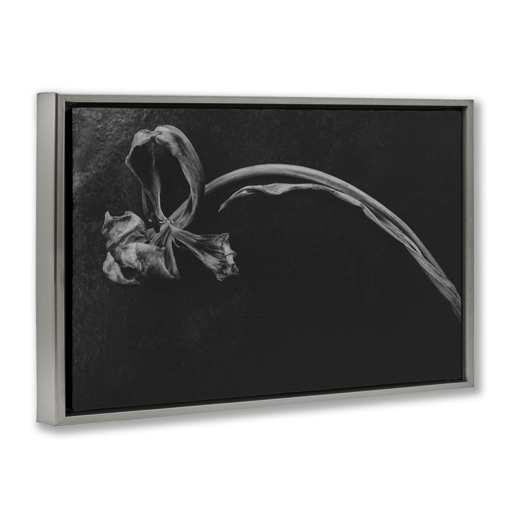 Latitude Run® Soft Collapse Flower Floating Frame, design by Amy ...
