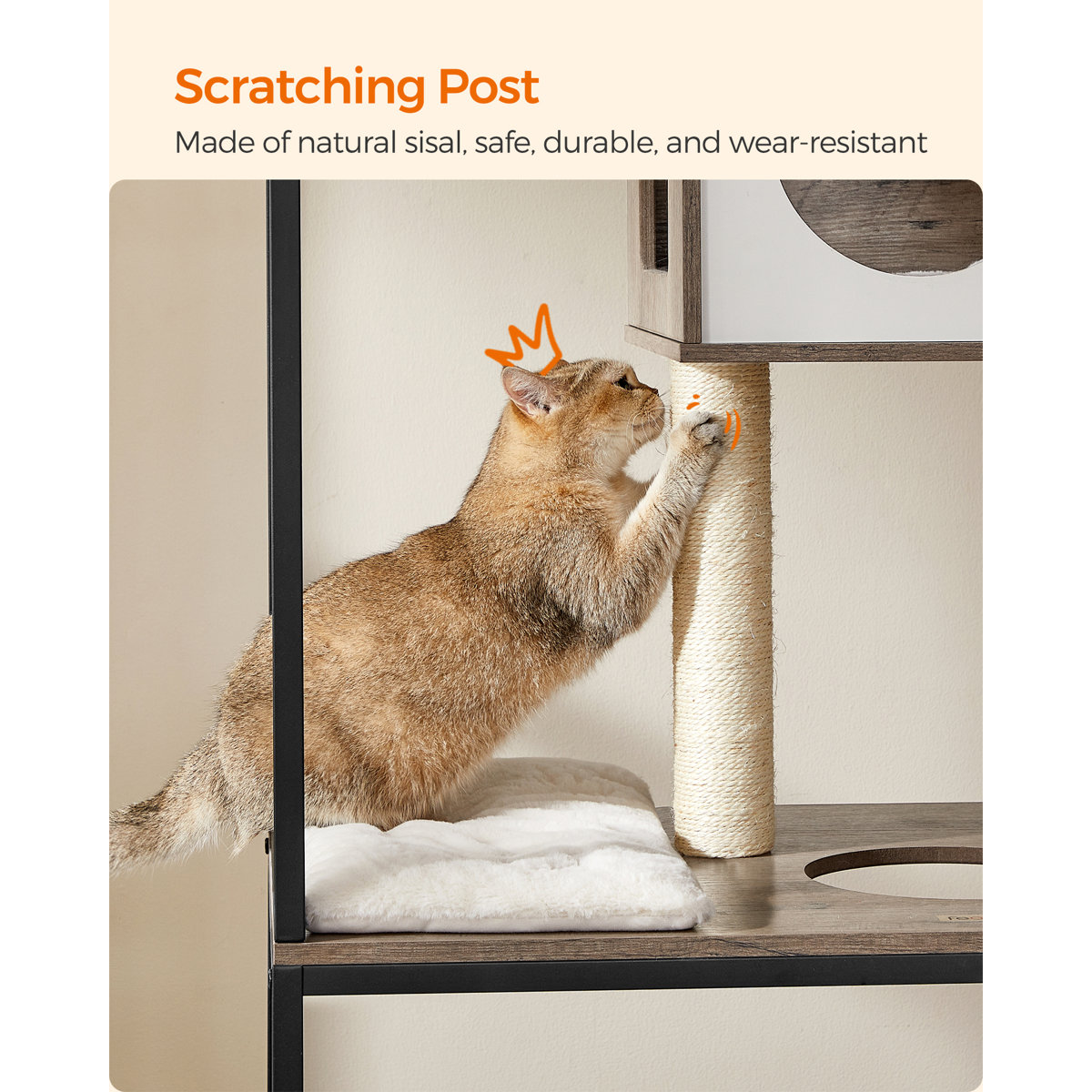 Archie & Oscar™ Kimmel 58" Cat Condo with Litter Box Enclosure and ...